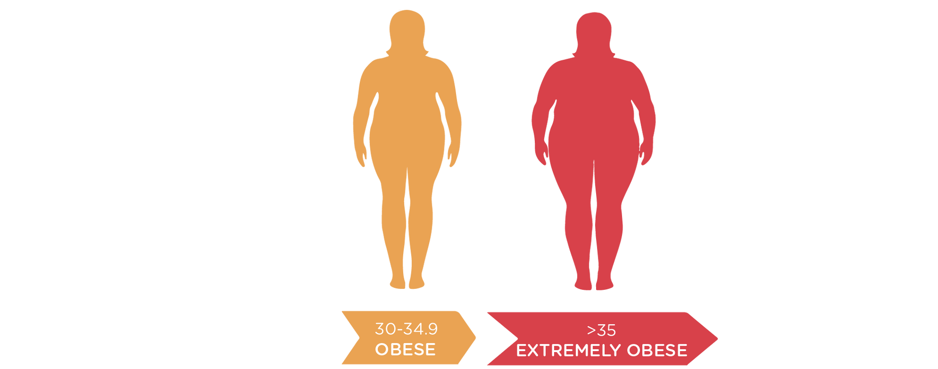 BMI Calculator - BN Healthy